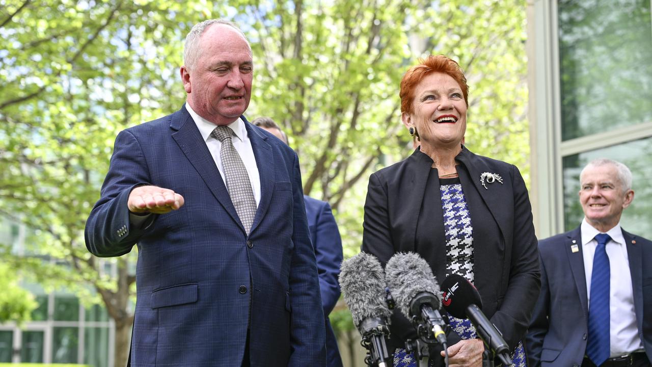 'Wake up call': Hanson's wild poll surge