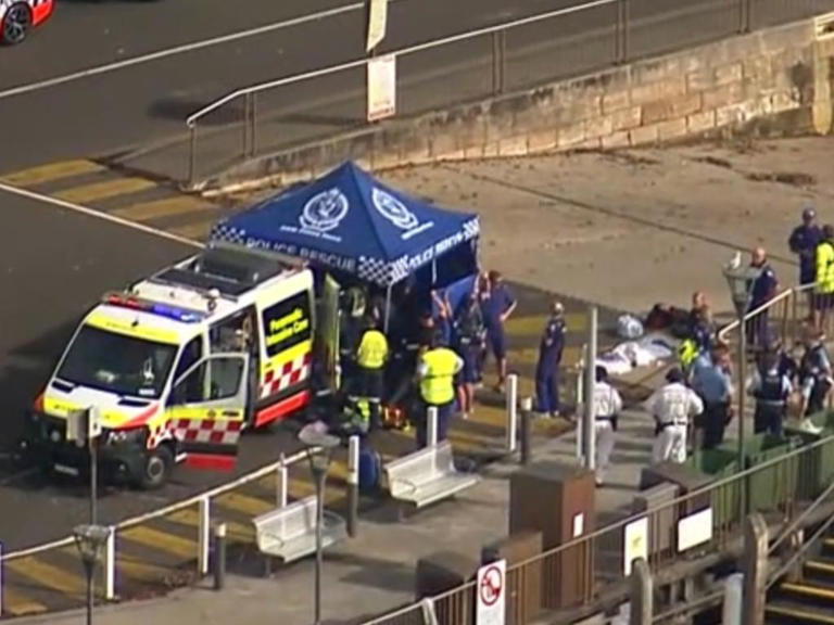 Young boy, 12, mauled by shark named