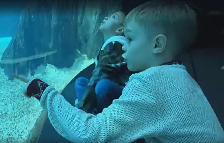 Portugalia. „To pierwsza noc od 4 lat, podczas której przespaliśmy ...