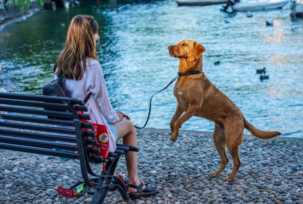 My dog senses when I’m going to faint and jumps to warn me – it’s ...