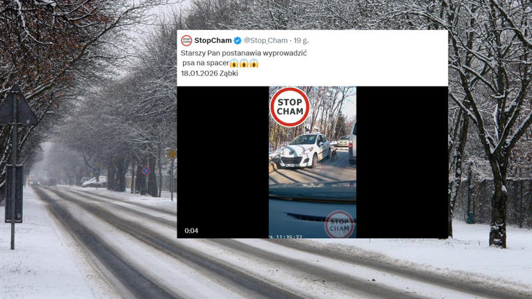 Jechał autem, a po jezdni biegł jego pies na smyczy. Policja zabrała ...