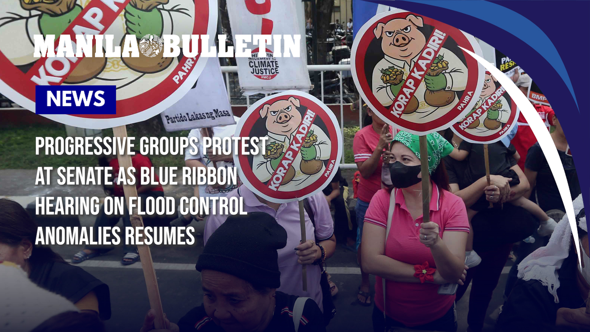 Progressive groups protest at Senate as Blue Ribbon hearing on flood ...