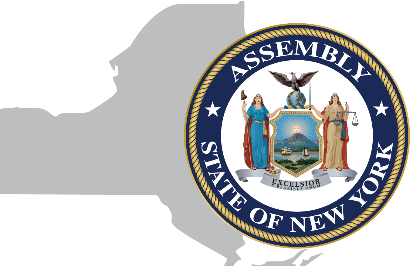 Democrats vie for shot at 124th District Assembly seat in Southern Tier