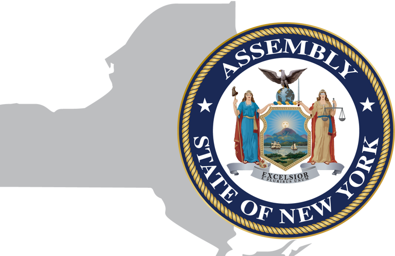 Democrats vie for shot at 124th District Assembly seat in Southern Tier