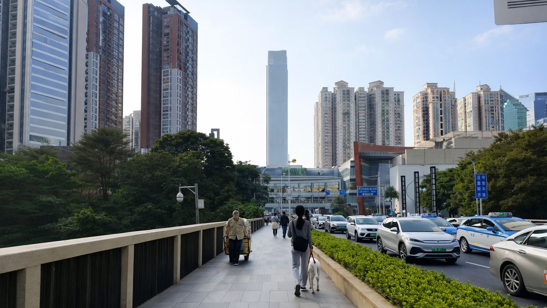 Middagleven in de stad Luohu, Shenzhen