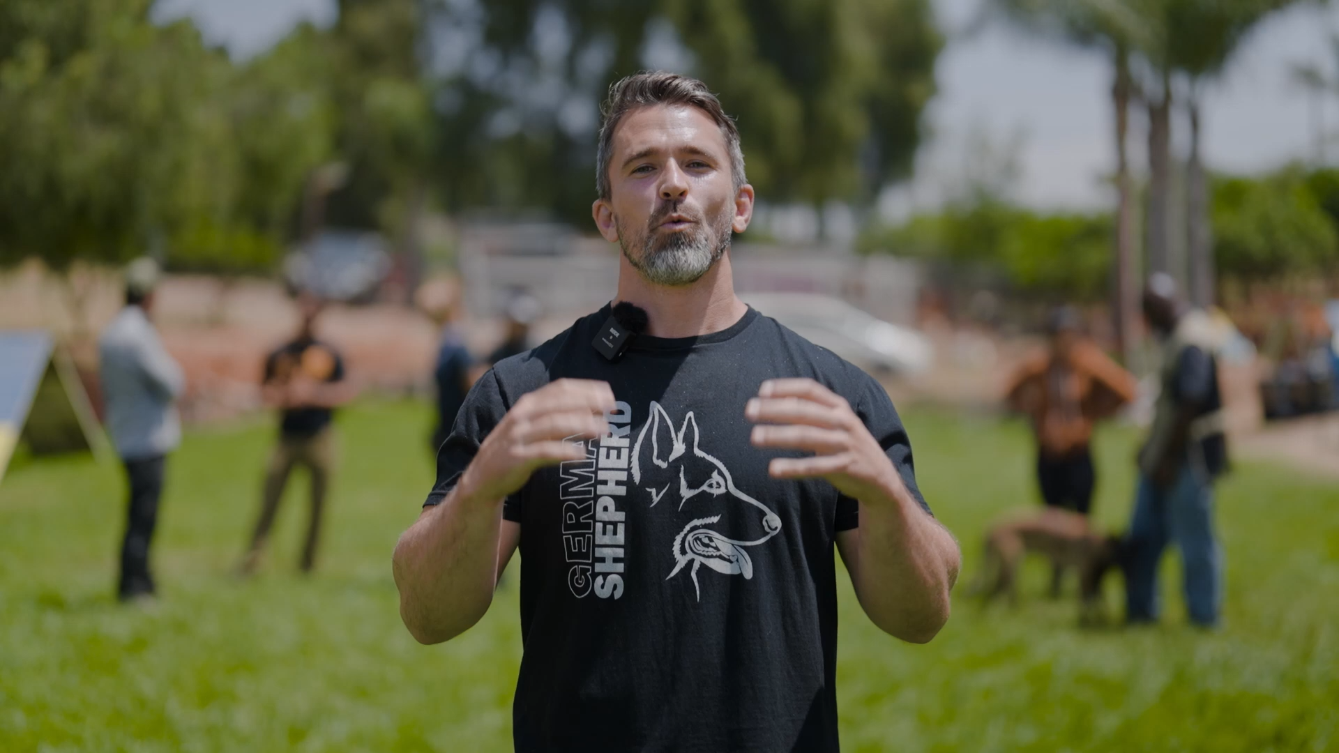 What "motivation" actually means in dog training and why it's misused