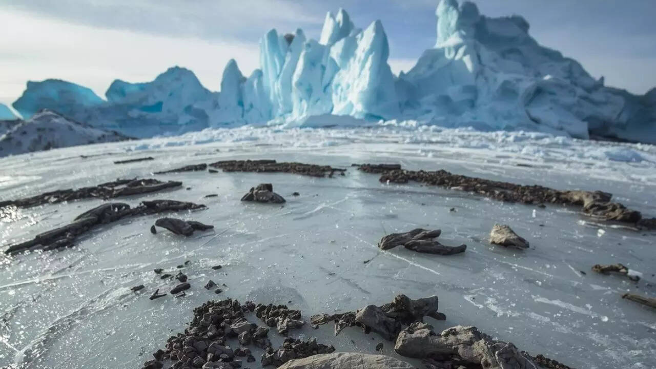 Baby dinosaur fossils found in Arctic permafrost reveal how dinosaurs ...