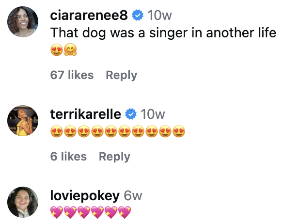 A dog sang with an old man playing a saxophone in Central Park, and a ...