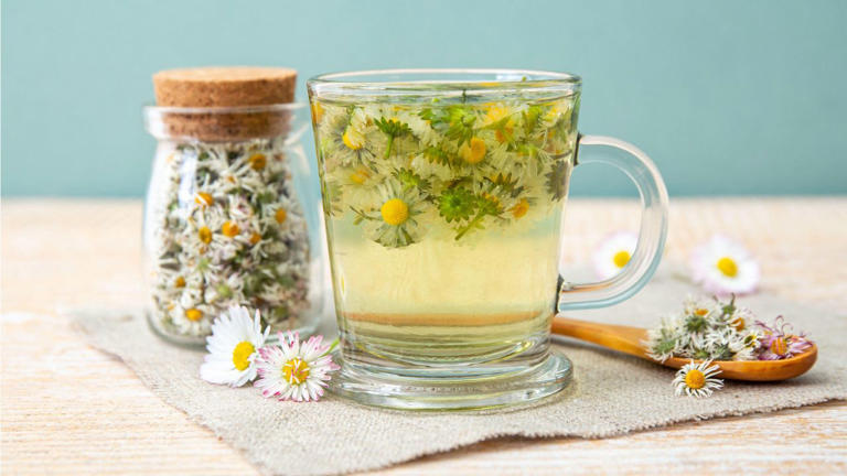 You can grow a tea garden on your windowsill without any soil