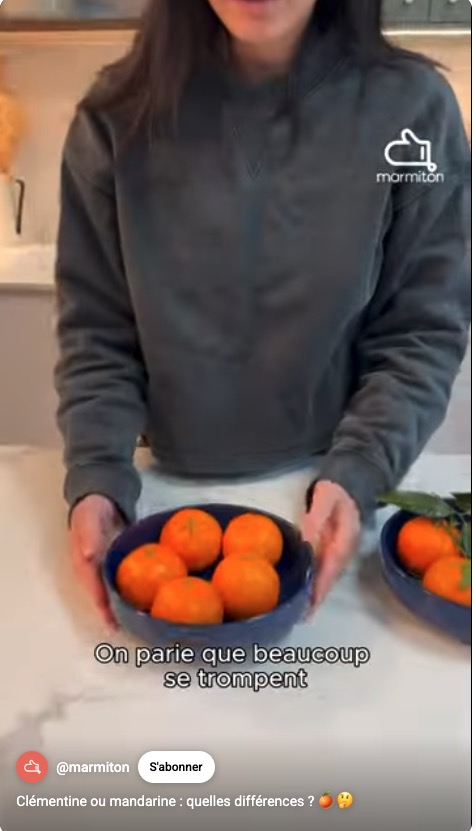 Clémentine ou mandarine : quelles différences ?🍊🤔