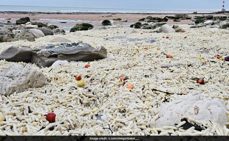 French fries flood England beach after shipping containers spill