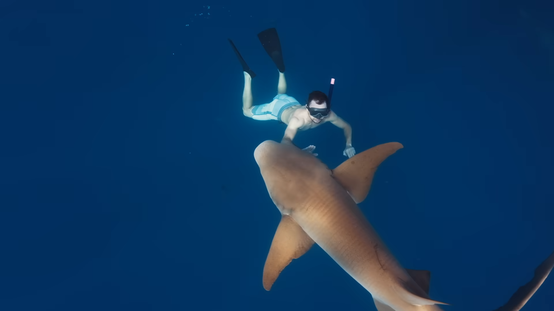 This video was a problem – because it questioned everything