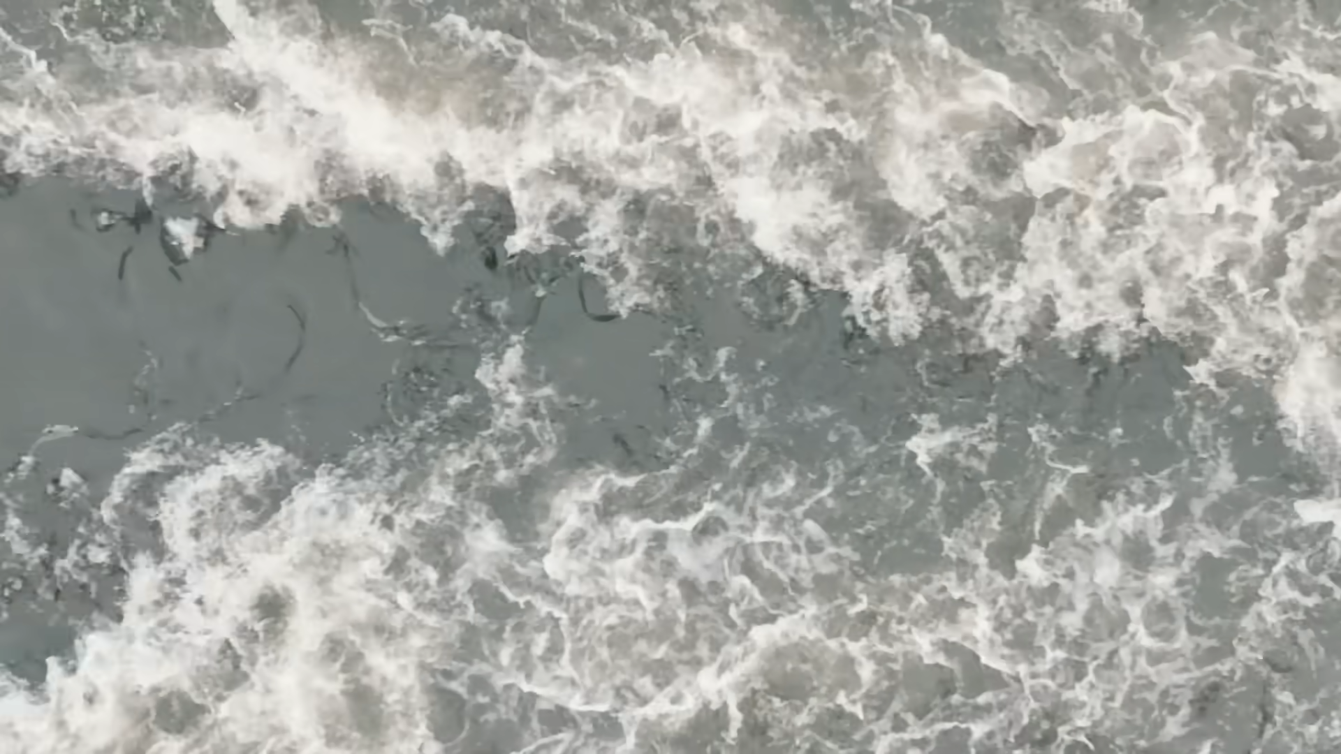 This Sea Became So Polluted It Turned Into Disease