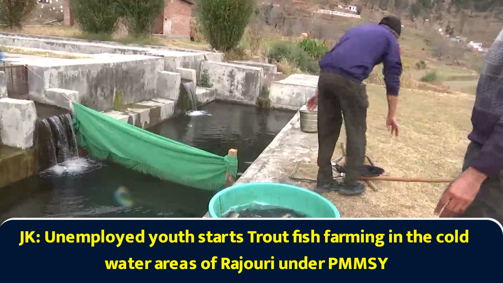 JK: Unemployed youth starts trout fish farming in the cold water areas ...
