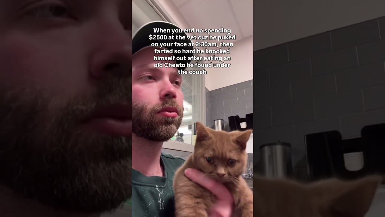How one Cheeto sent our cat to the vet