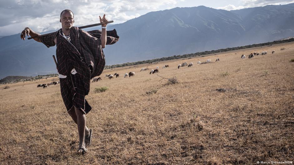 Tanzania's Maasai, wildlife corridor face growing pressure