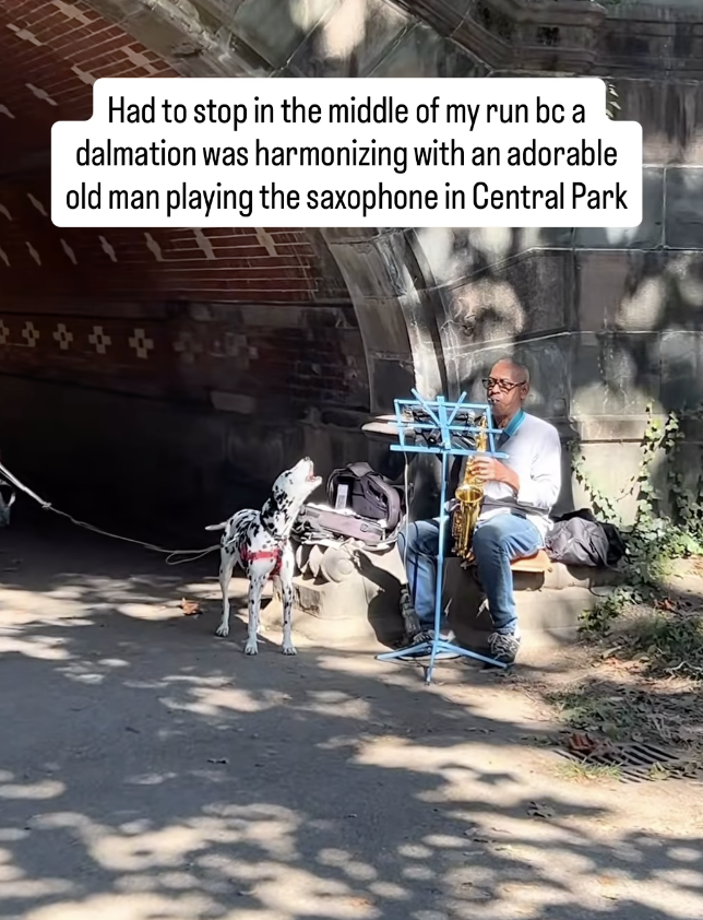 A dog sang with an old man playing a saxophone in Central Park, and a ...