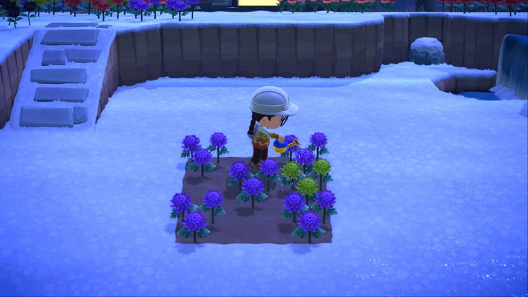Animal Crossing New Horizons: Flower breeding chart (& how to grow hybrids)