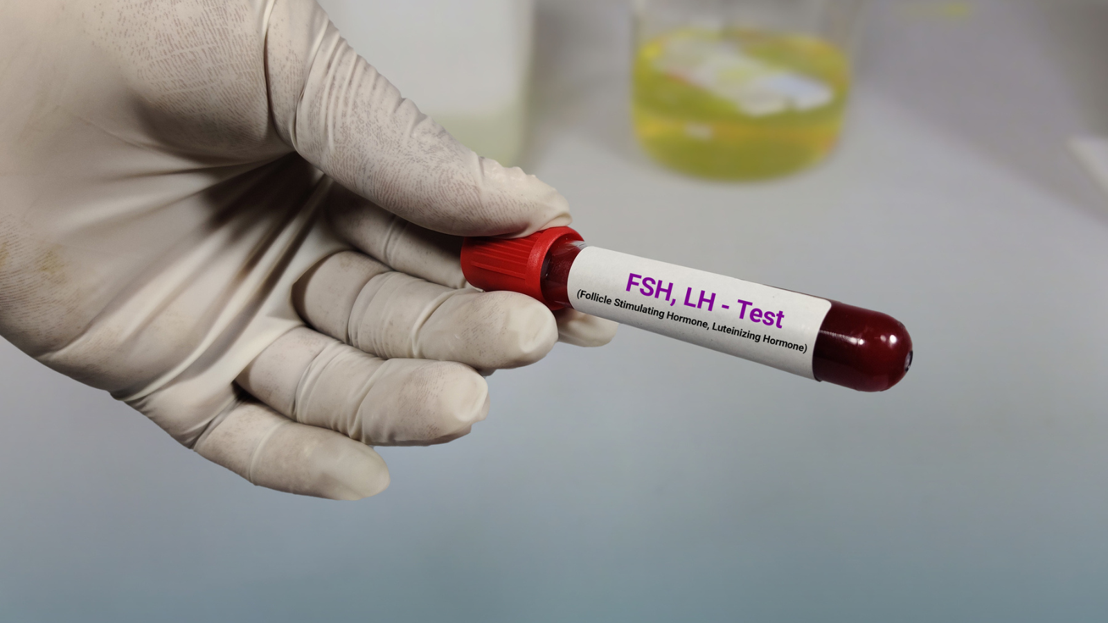 Hormonal changes in the follicular phase explained