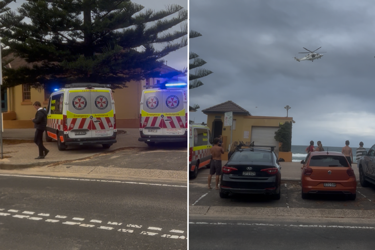 Manly shark attack: Man critically injured after third incident in two days