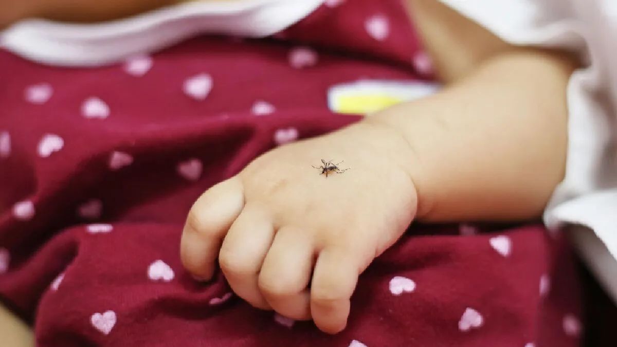 Are babies immune to mosquito bites? What’s the best way to treat them?