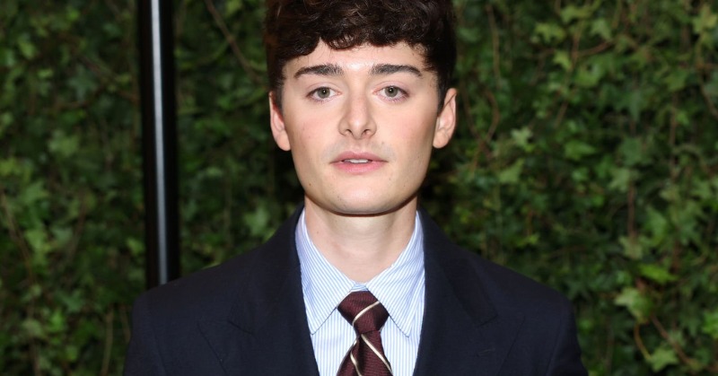 Why Noah Schnapp missed the Stranger Things reunion at Finn Wolfhard’s ...