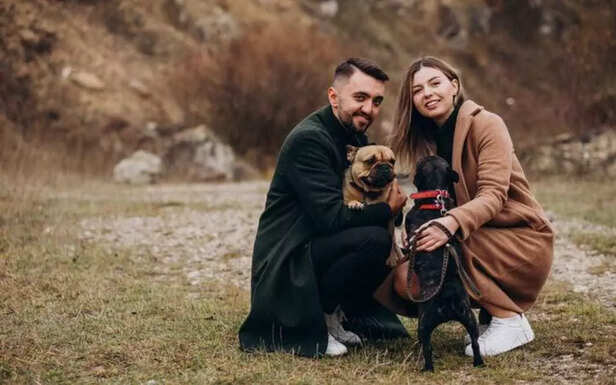 The Real Cost of Ignoring Small Behaviour Changes in Pets