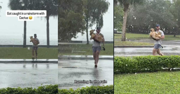 Video shows what happened when rescue pup & owner got caught in the rain