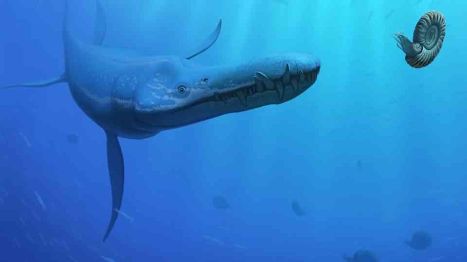 What fossils really reveal about these massive ancient sea predators