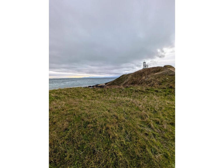 🌱 Patch AM: How a 12-year-old suspect was tracked down after Central ...