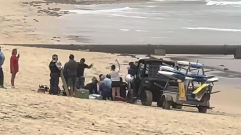 Huge call after Sydney shark attacks