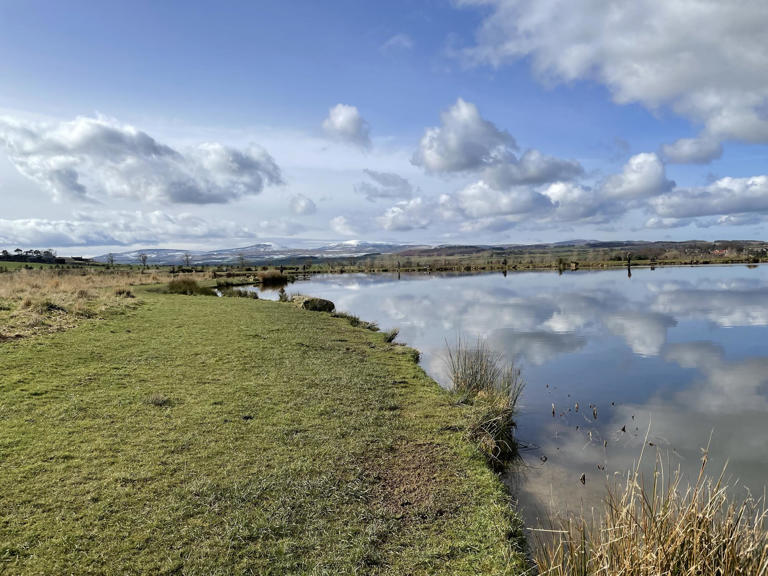 Dates for the diary as Chatton and Thrunton host this year's Big One ...