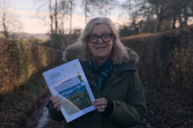 BBC Countryfile halted for important update as viewers left fuming over ...