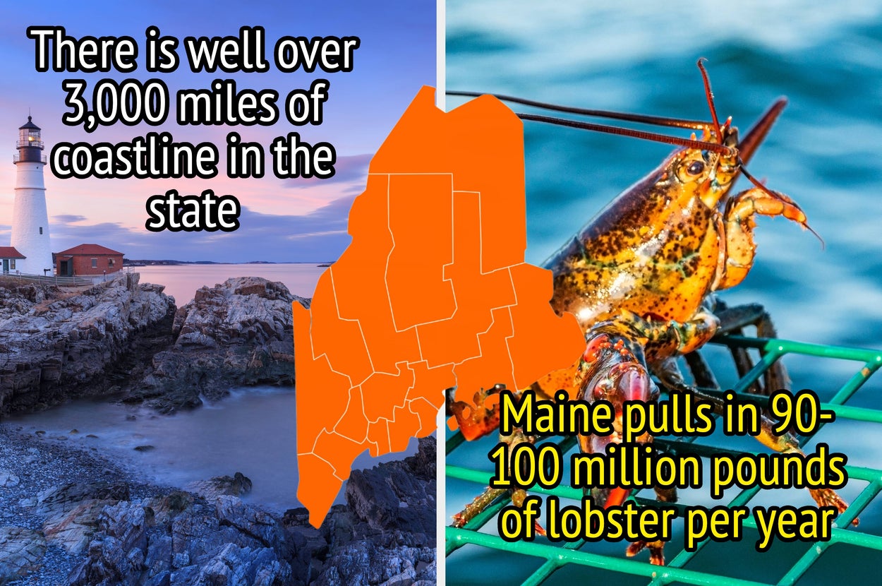 22 obscure facts about Maine that will leave you shook
