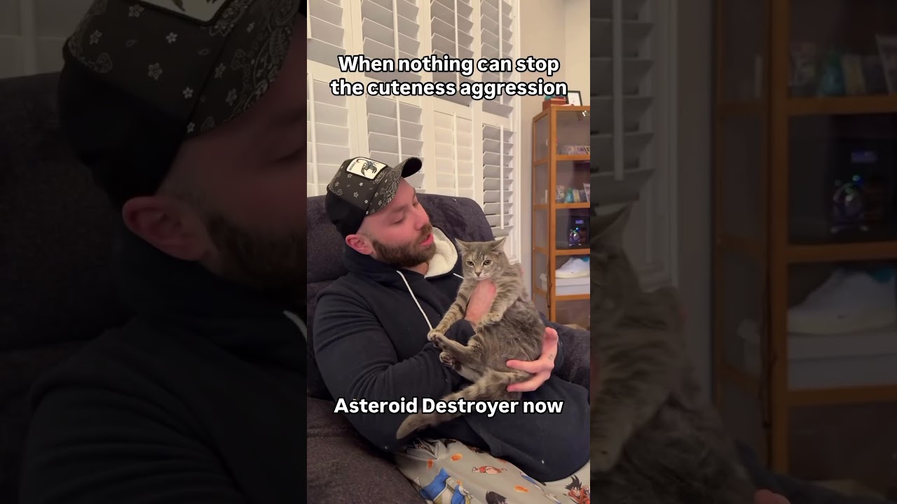 When my boyfriend showed up with a tiny baby kitten