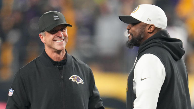 The AFC North: 1 coach, 2 (?) starting QBs, many questions