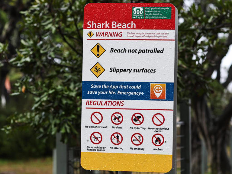 Huge call after Sydney shark attacks