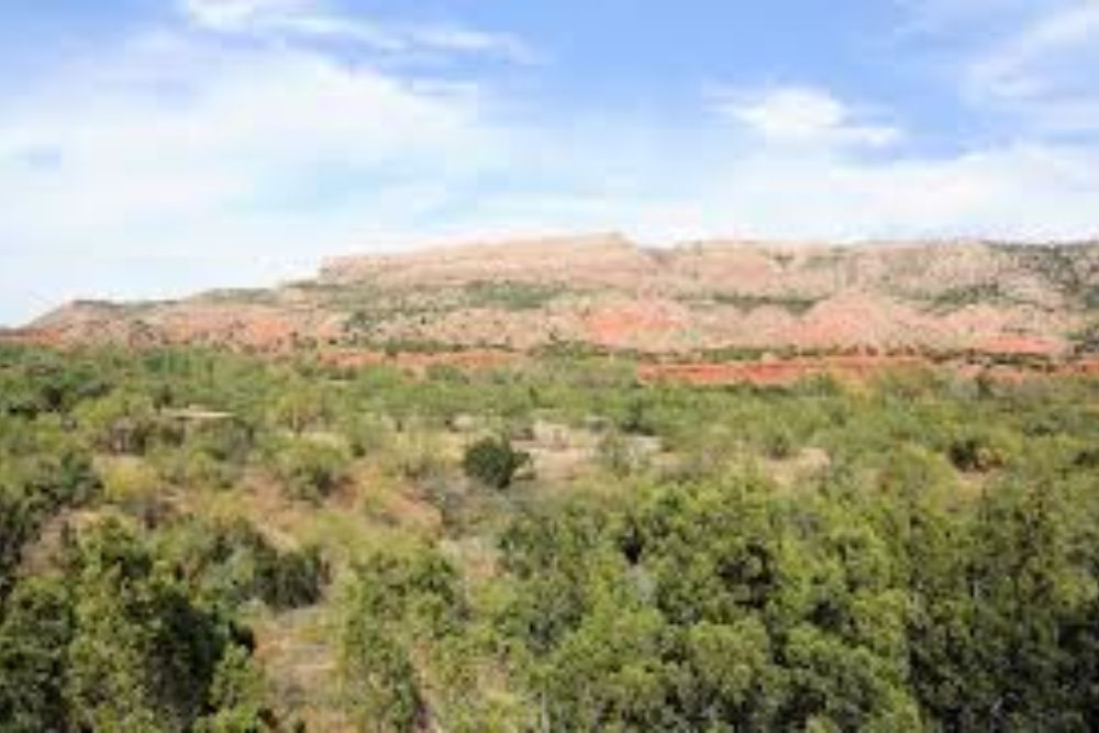 Best state parks in Texas for camping