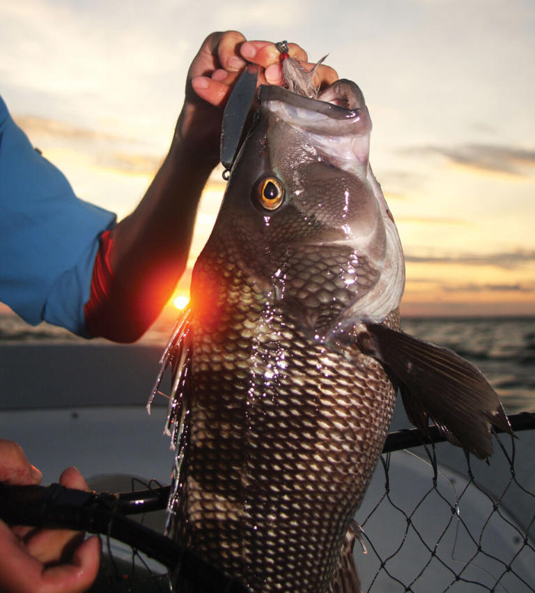 Best fish to eat at 4 fishing destinations