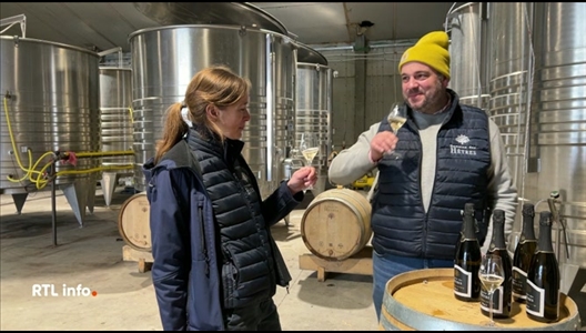 Un vin blanc de la Ferme des Hêtres, à Berloz, a été primé à Lyon