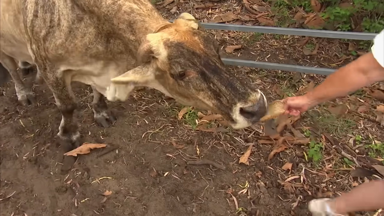 This could kill him... the line that changed everything