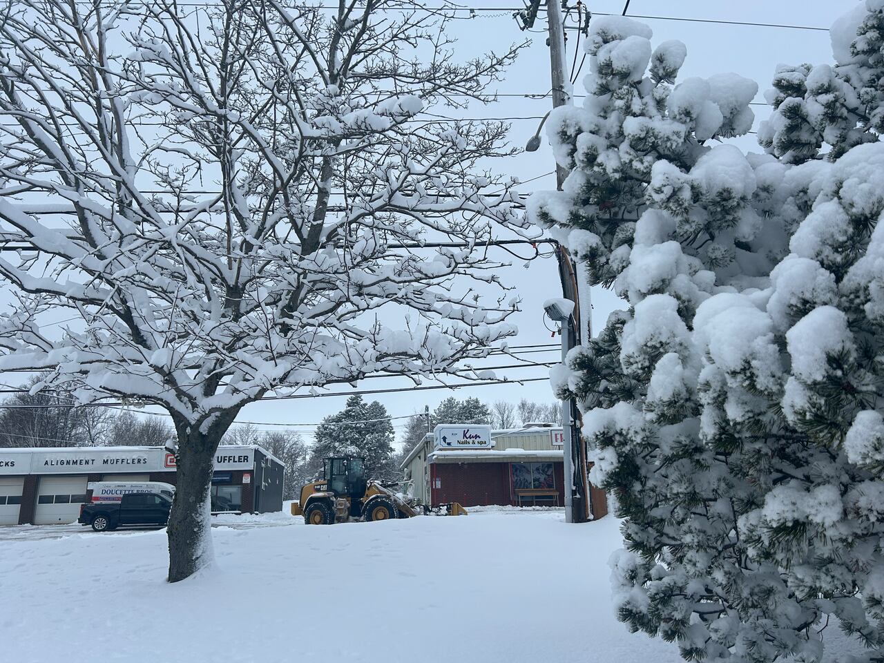 Delays, closures after heavy snowfall on PEI