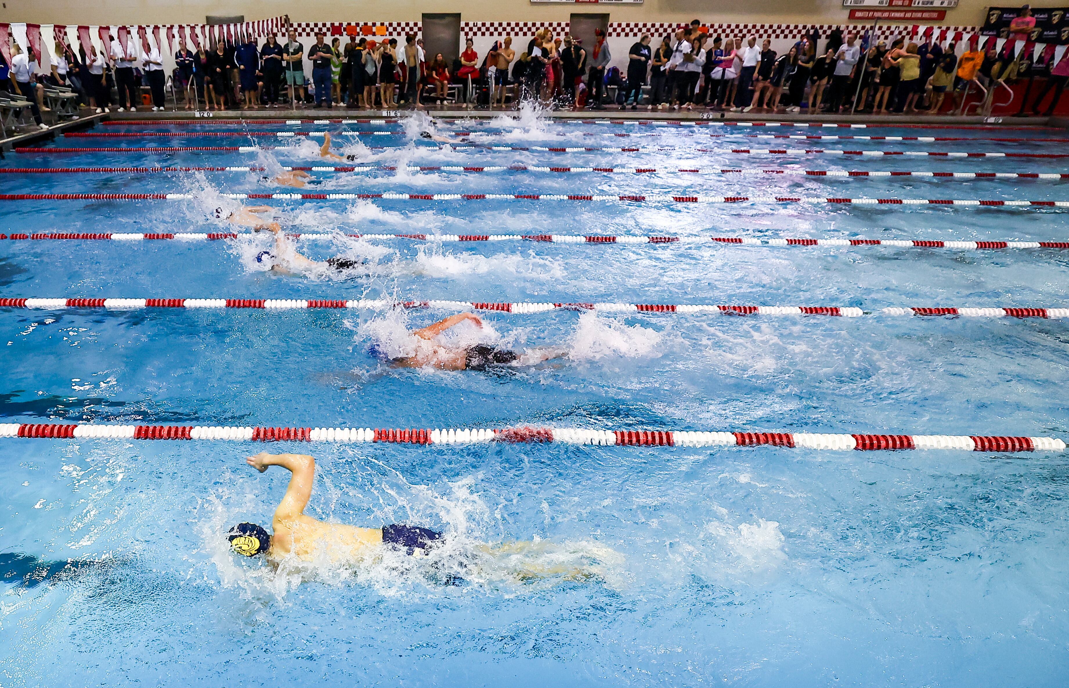 Boys swimming honors and top 10 for Jan. 19: Herman sparks Green Hornets