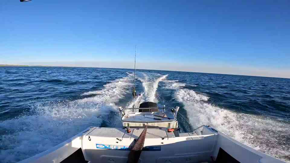 I caught the tastiest fish in the sea and put it back