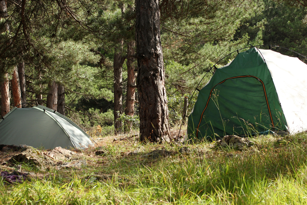 Best state parks in Texas for camping