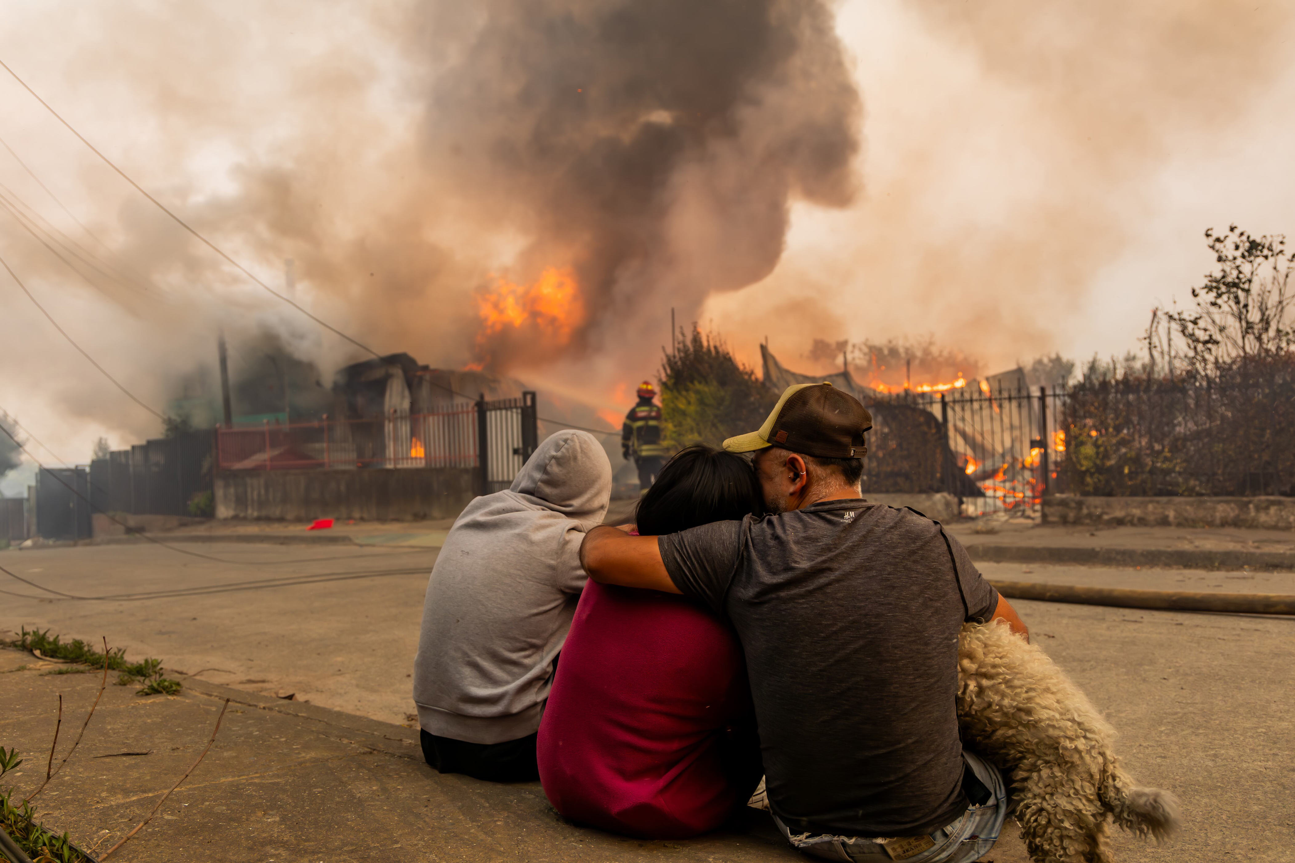 Incendios Forestales Elevan A 20 La Cifra De Fallecidos Y Dejan Más De 5006