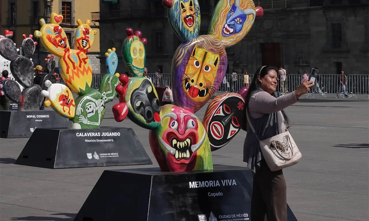 Nopalera en el corazón: Nopales gigantes toman el Zócalo