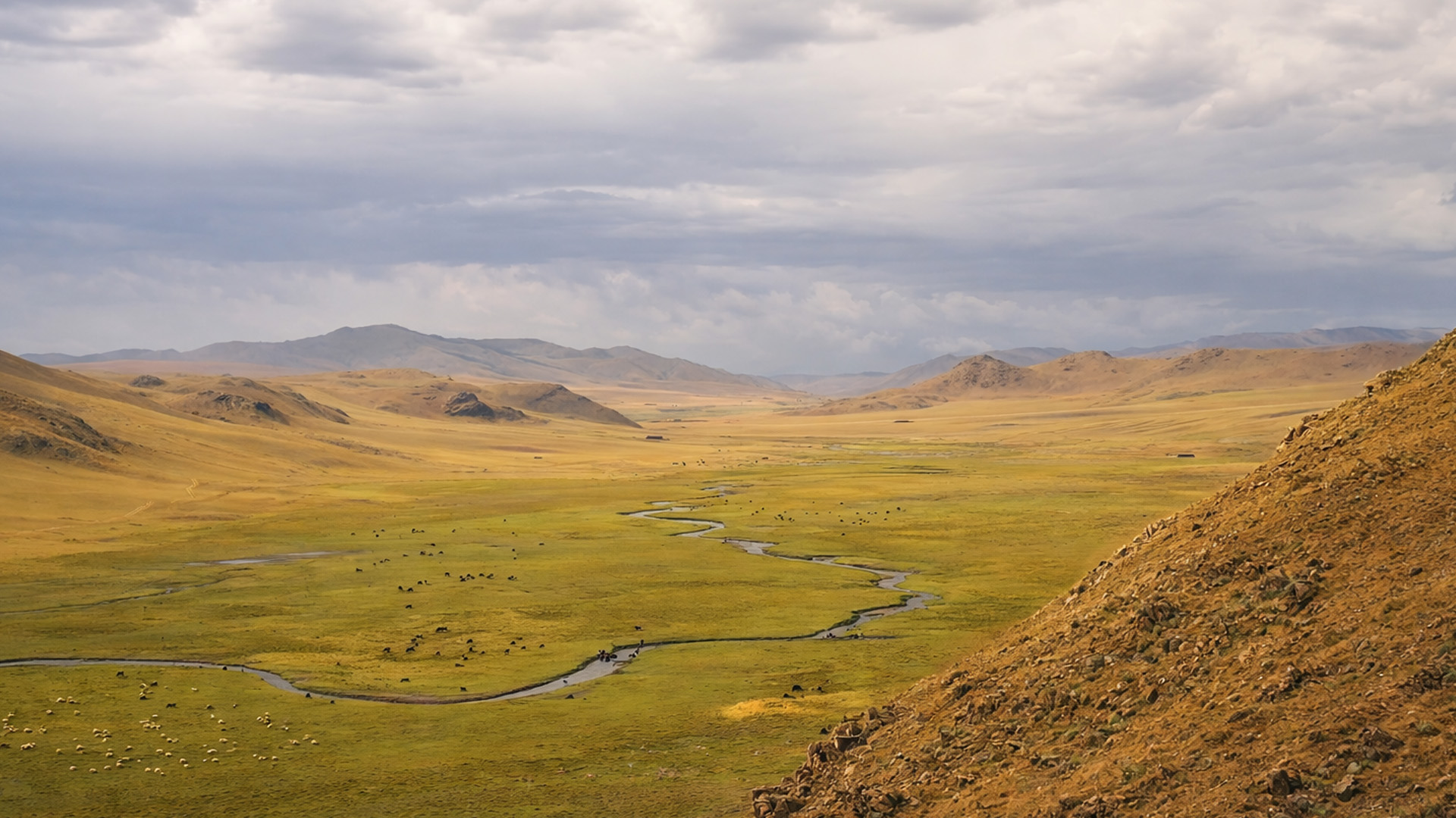 Why Is Mongolia So Empty Yet So Alive