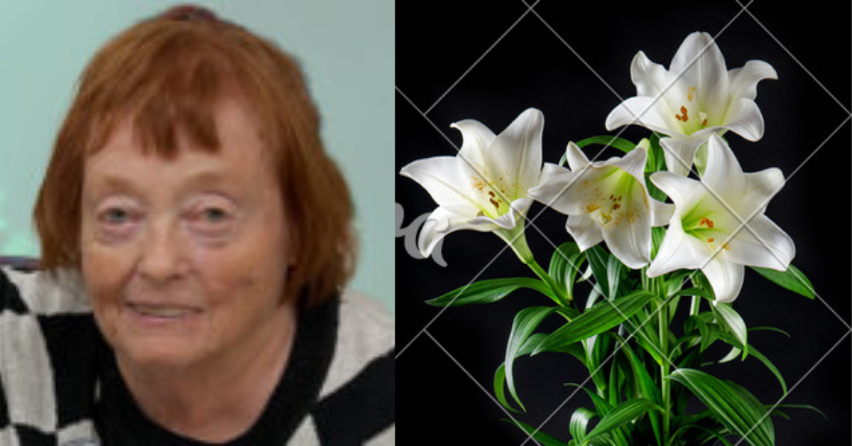 Diane Christensen, 81, of Racine - obituary