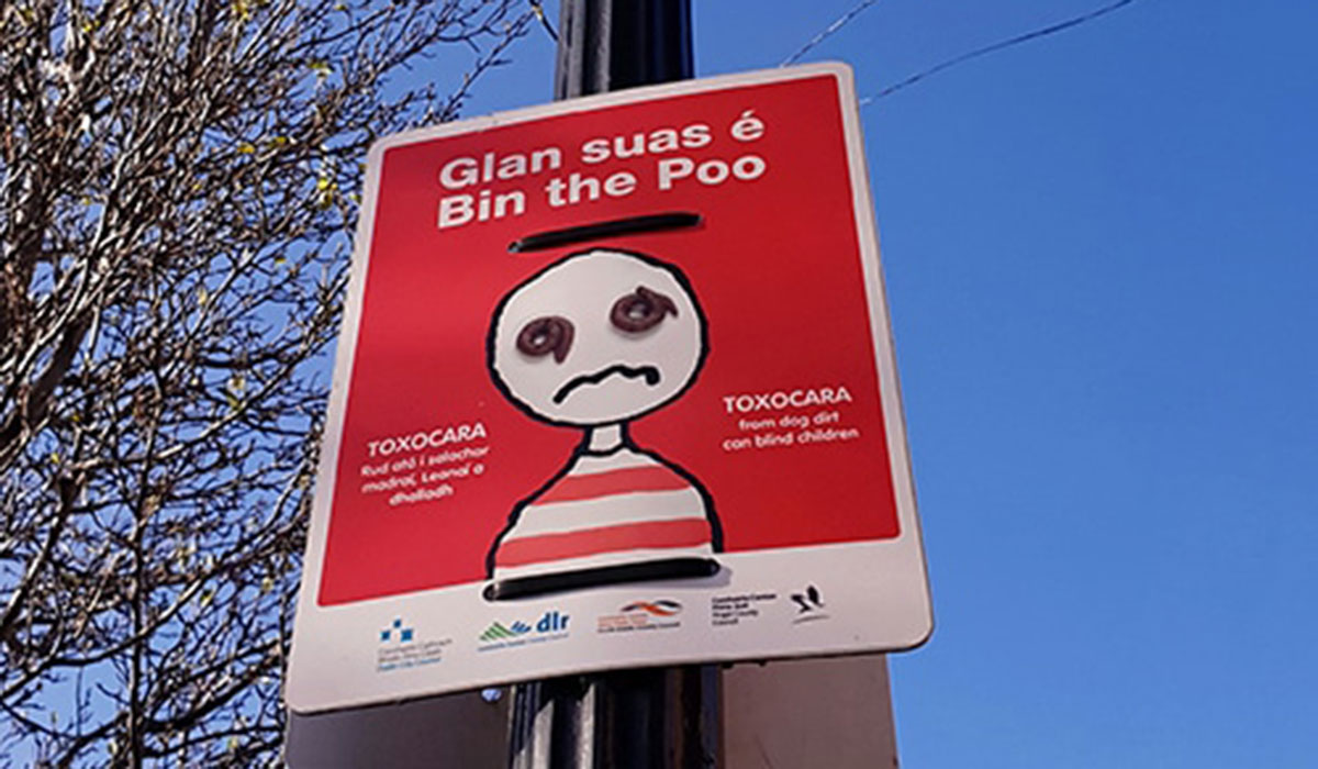 Forensic methods could nab Dublin dog owners that don’t pick up litter